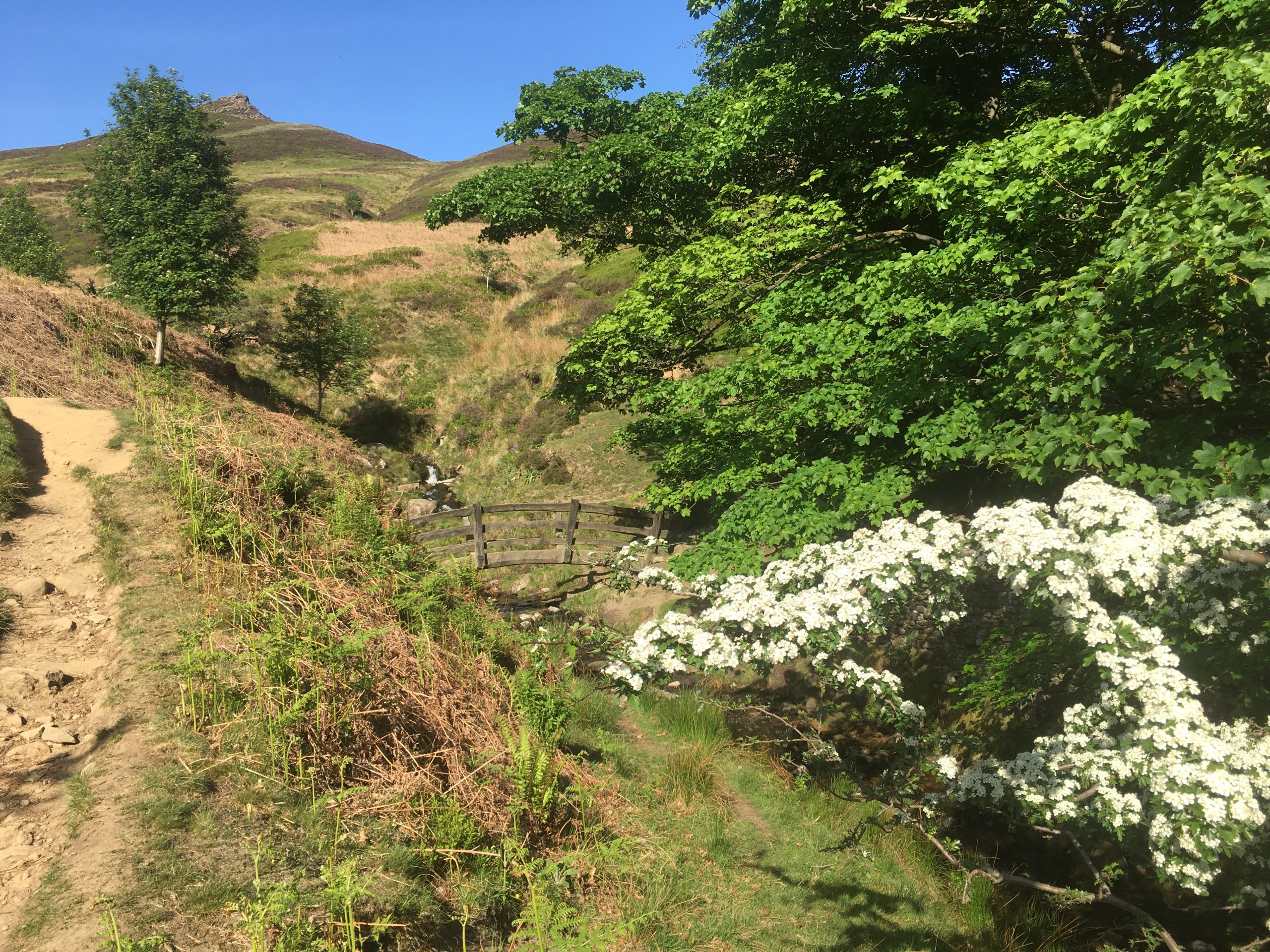 bridge – Edale